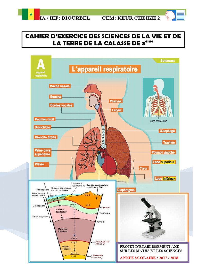 Cahier d'exercices SVT 3ème 2017-2018 | PDF | Fermentation | Système ...