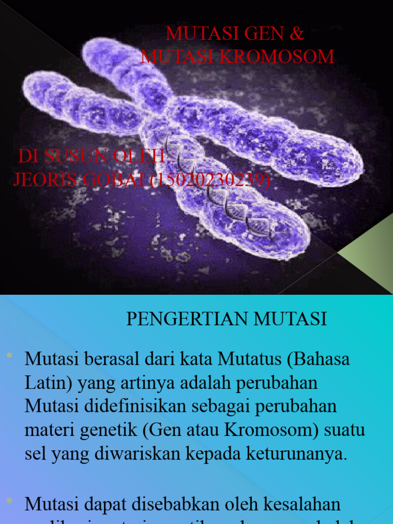 Mutasi Gen and Mutasi Jeoris Gobai | PDF