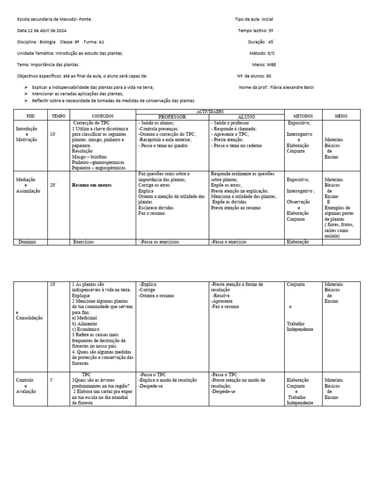 Esquema Do Plano de Aula | PDF | Plantas | Florestas