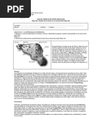 Instrumentos Musicales Isla de Pascua | PDF | Instrumentos musicales ...