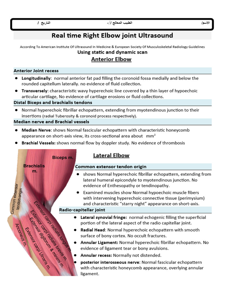 1 Normal elbow US | PDF | Elbow | Musculoskeletal System