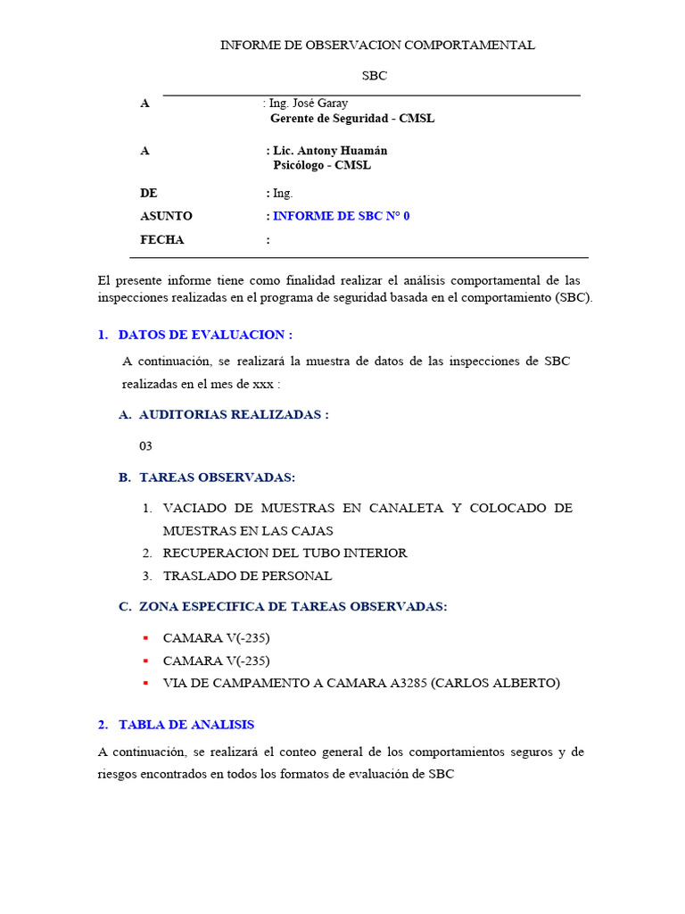 Modelo de Informe Mensual SBC | PDF