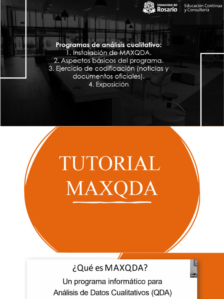 MAXQDA Diplomado | PDF