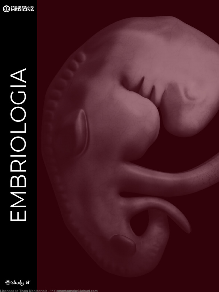 EMBRIOLOGIA | PDF | Menstruação | Ovário