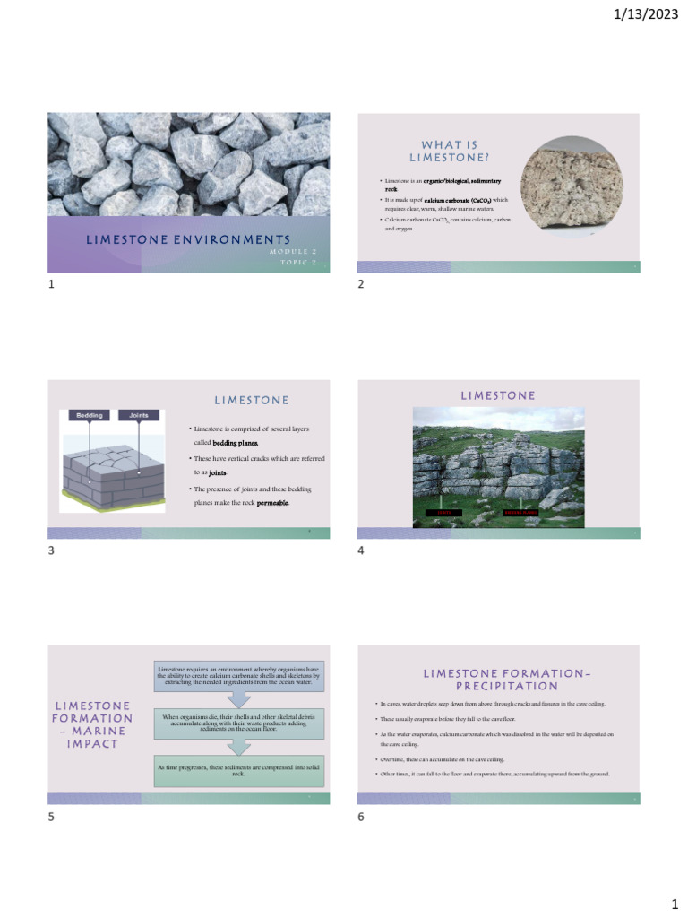 Limestone Environments- Module 2 Topic 2 Presentation | PDF | Weathering | Limestone