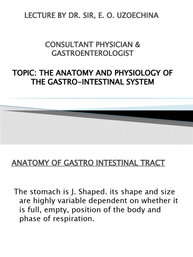 Anatomy of Git | PDF | Stomach | Digestion