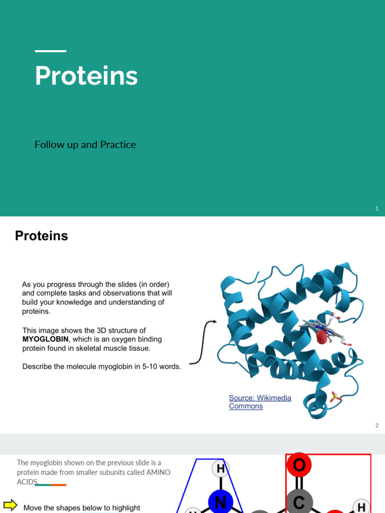 Proteins | PDF | Amino Acid | Proteins
