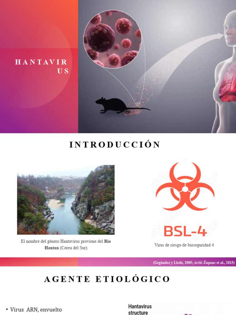 Hantavirus | PDF | Especialidades Medicas | Enfermedades y trastornos