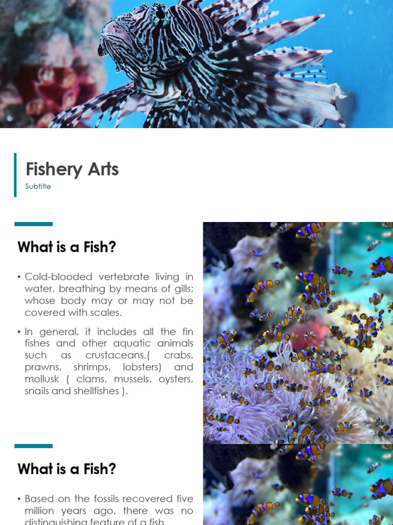 Fishery Arts | PDF | Fish | Digestion
