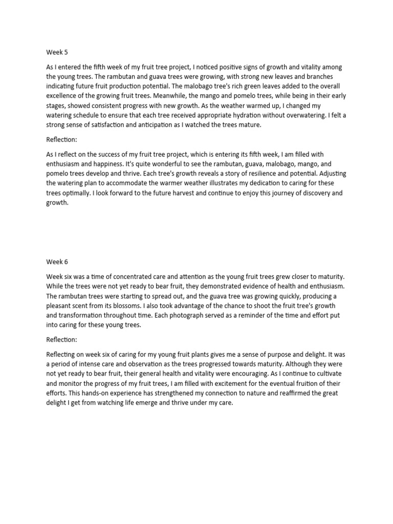 Description and Reflection | PDF | Trees | Mango