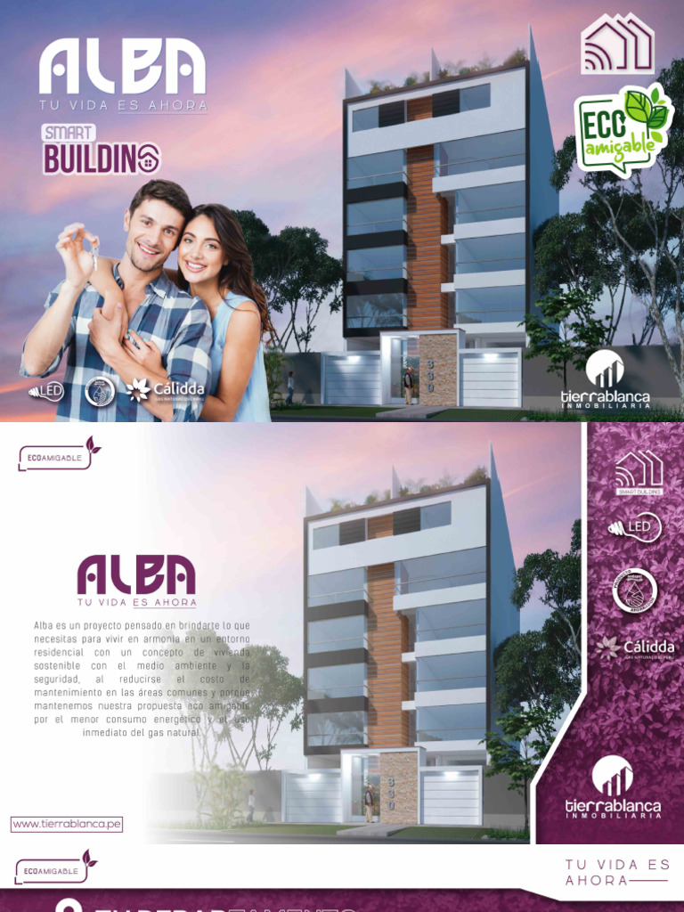 Proyecto ALBA | PDF