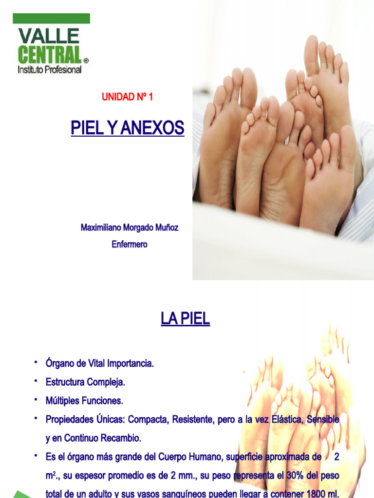 Unidad Nº1 Piel y Anexos_IP Valle Central 2014 | PDF | Piel | Epidermis