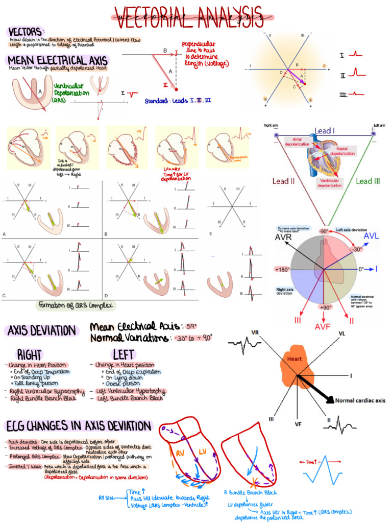 Vectorial Analysis Notes | PDF
