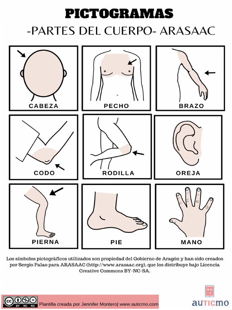 Pictogramas - Partes Del Cuerpo | PDF