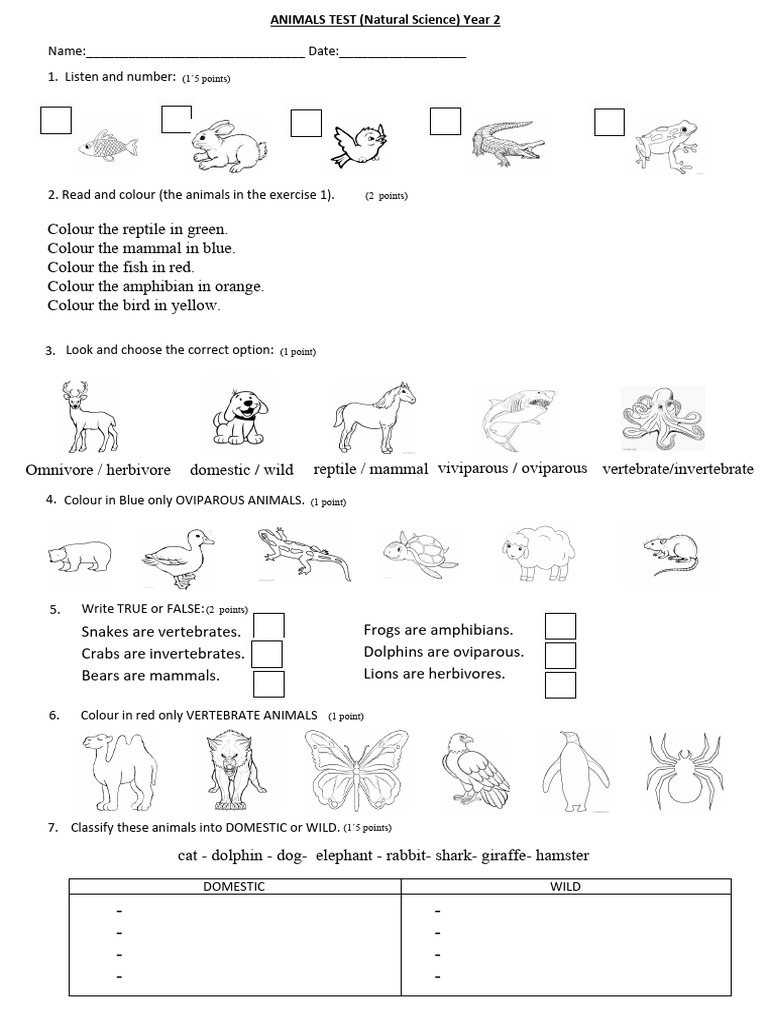 Animals Test | PDF