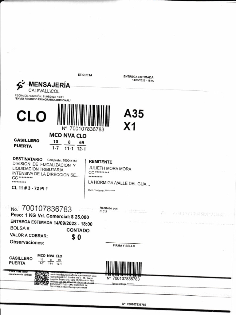 Guia Envio Requerimiento | PDF