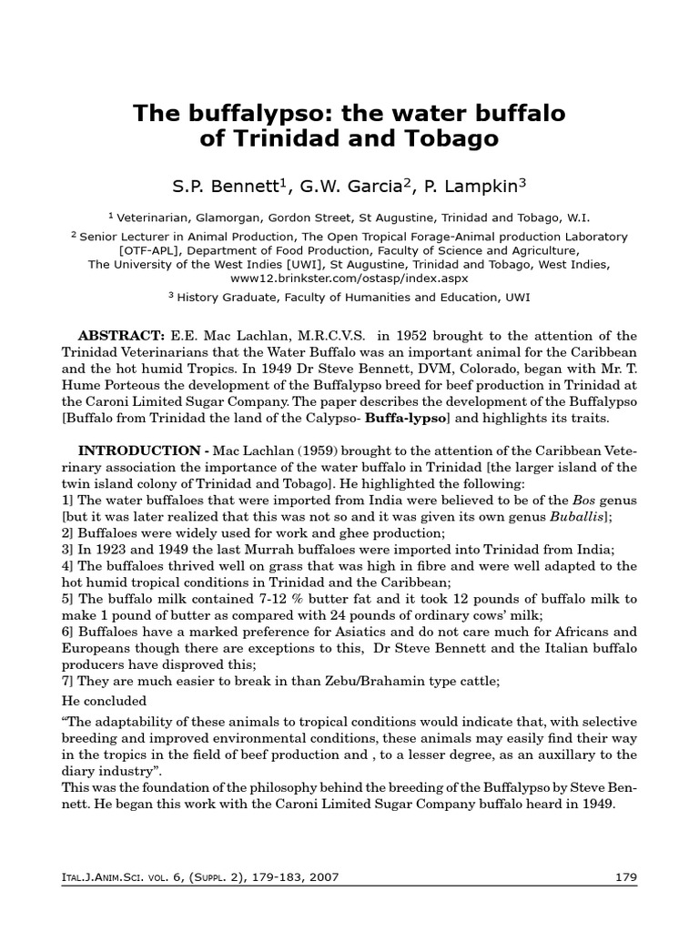Buffalypso: Trinidad's Beef Buffalo | PDF | Cattle | Livestock