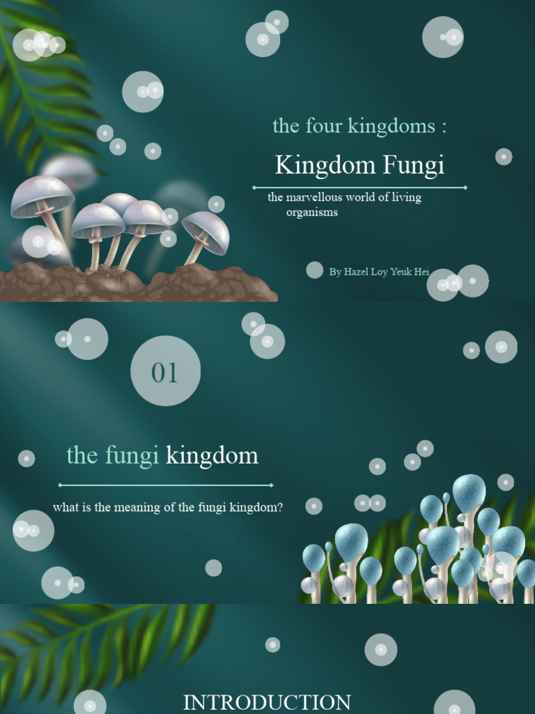 Overview of Kingdom Fungi | PDF | Fungus | Cell (Biology)