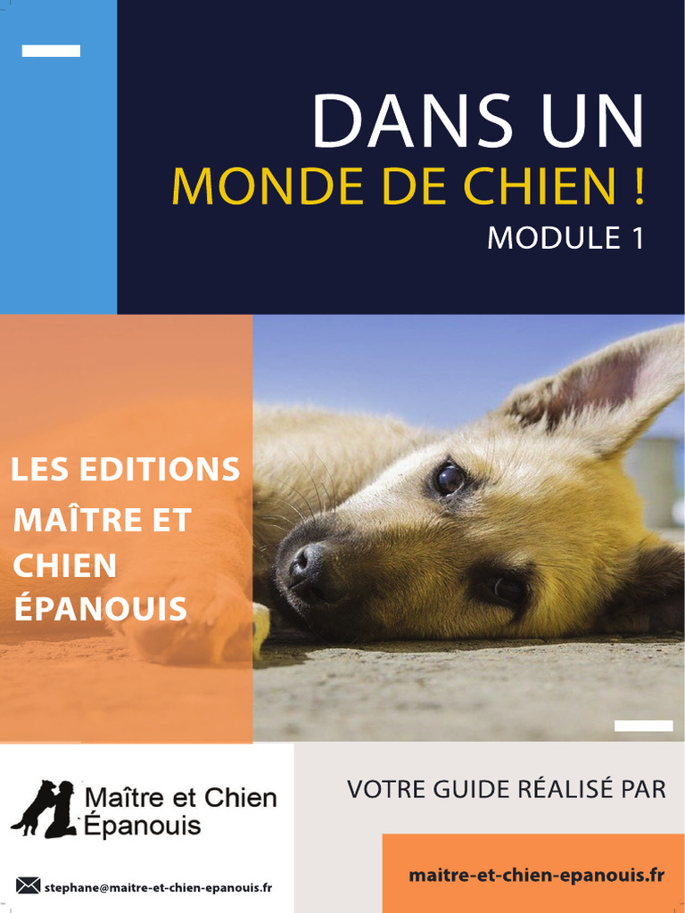 Module 1 Dans Un Monde de Chien | PDF