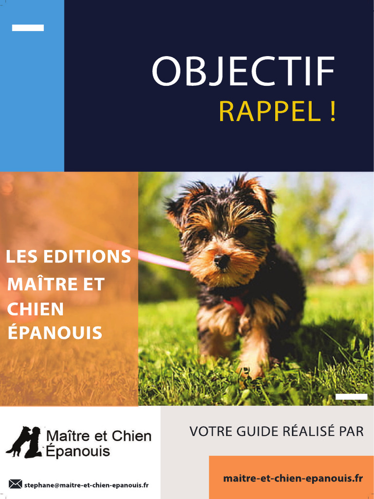 BONUS 1 Methode Objectif Rappel | PDF