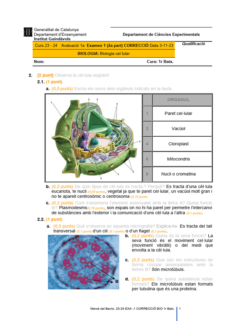 23-24 EXA-1 (2a Part) CORRECCIÓ BIO 1r BATX Biologia Cel Lular | PDF