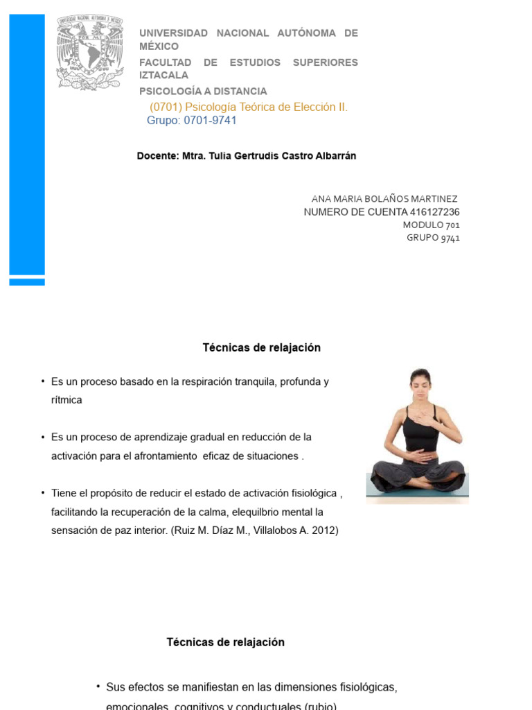 Bolanos - Ana A3 Bolanos A6 - Cuadro - Técnicas Cognitivas | PDF ...