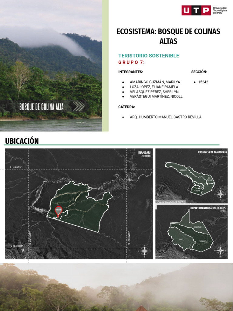 G8-Ecositema Bosque de Colina Alt | PDF | Los bosques | Clima