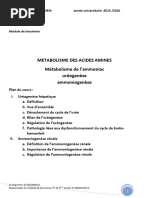Cycle de l'urée et uréogenèse | PDF | Sciences physiques | Biologie