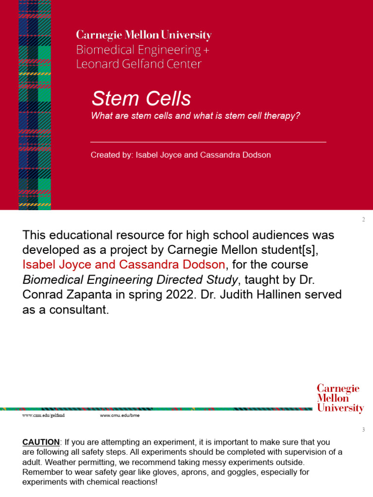 Stem Cells | PDF | Stem Cell | Cell Potency