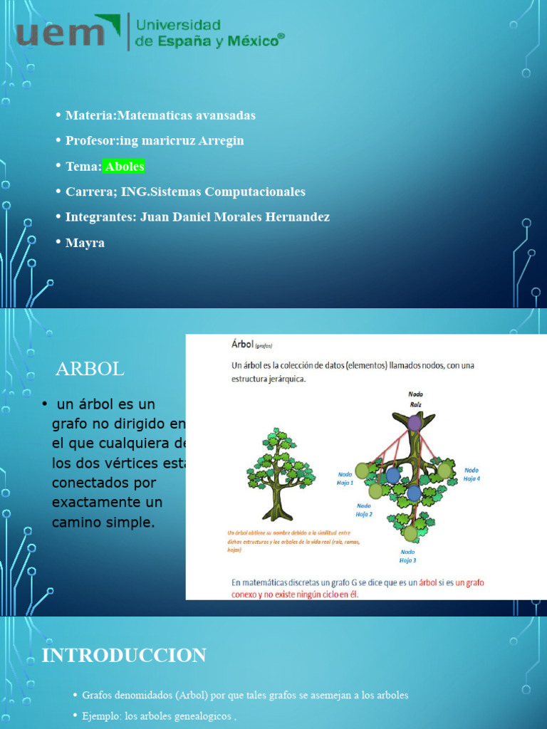 EXP DE ARBOLES | PDF