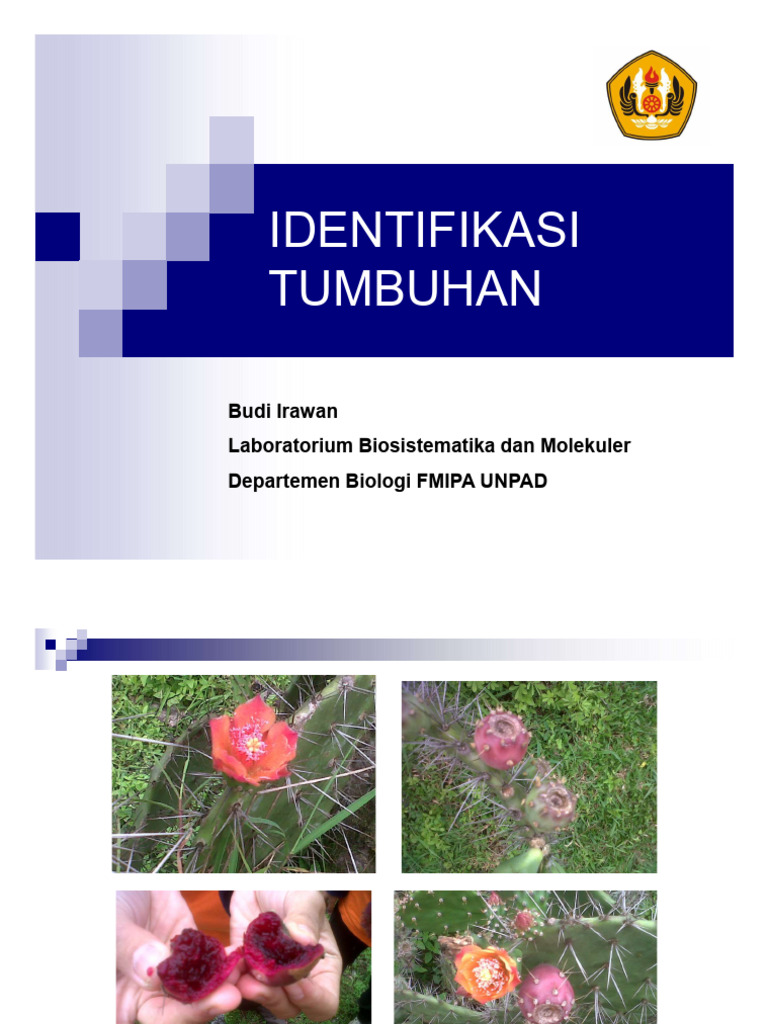 Identifikasi Tumbuhan | PDF