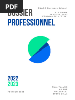 Guide Dossier GRCF BTS GPME 2025 | PDF | Informatique