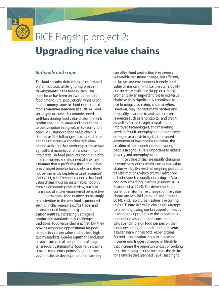 Flagship Project 2 | PDF | Value Chain | Market (Economics)