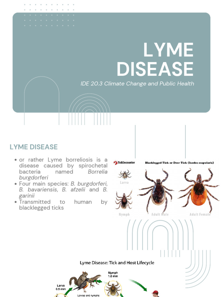 Lyme Disease | PDF | Lyme Disease | Medicine