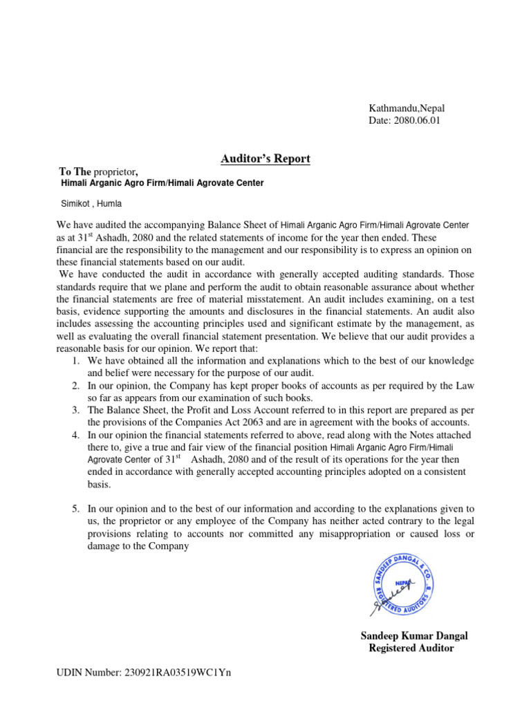 Audit Report PLT. - Copy-1 | PDF | Audit | Auditor's Report