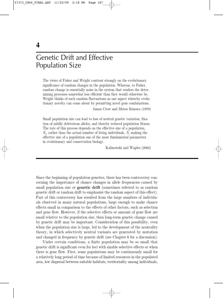 ch04 Final | PDF | Population Genetics | Zygosity
