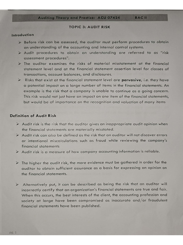 Audit Topic 3 | PDF