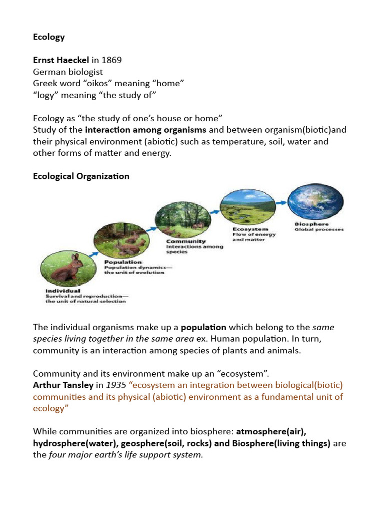 eco | PDF | Ecosystem | Food Web