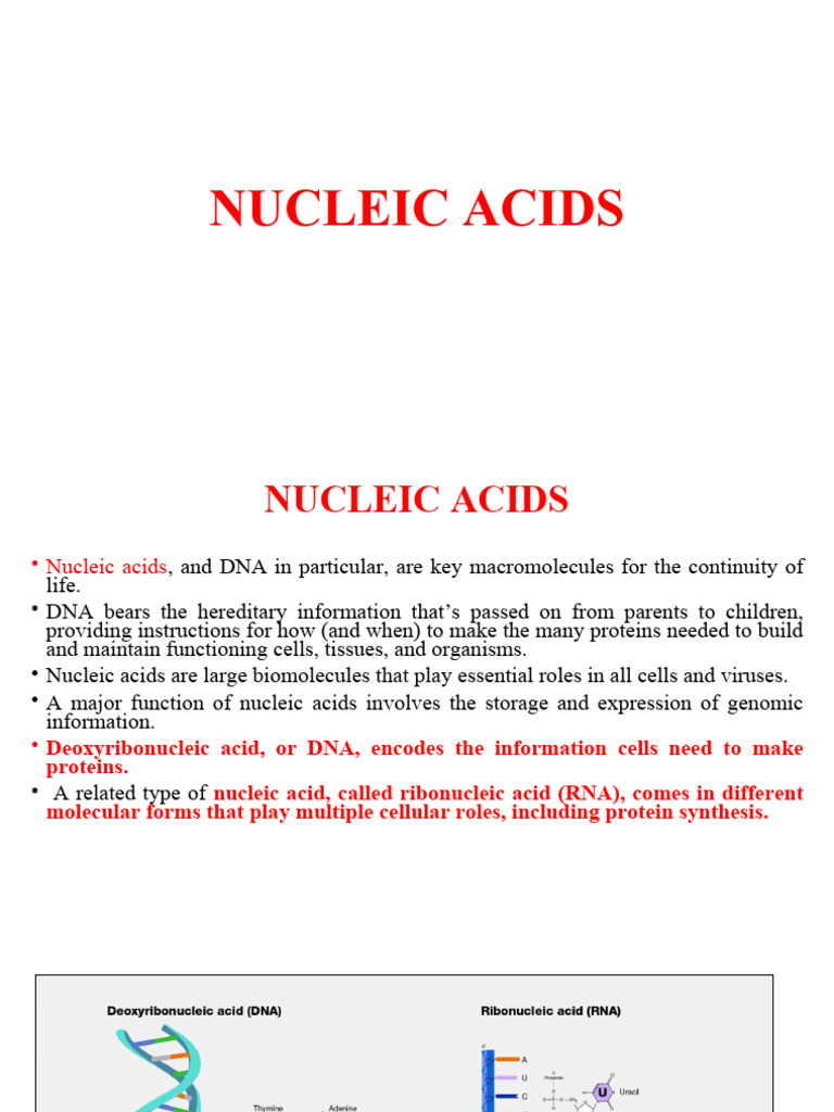 nucleic acid | PDF | Nucleotides | Nucleic Acids