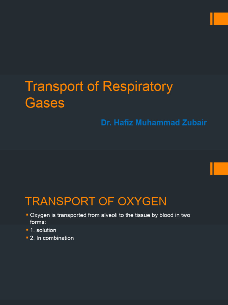 Transport of Respiratory Gases | PDF | Hemoglobin | Blood