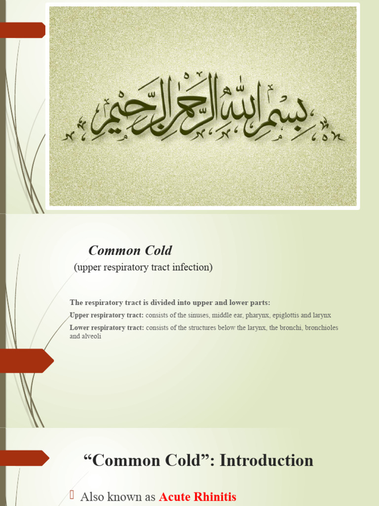 Understanding the Common Cold | PDF | Common Cold | Respiratory Tract