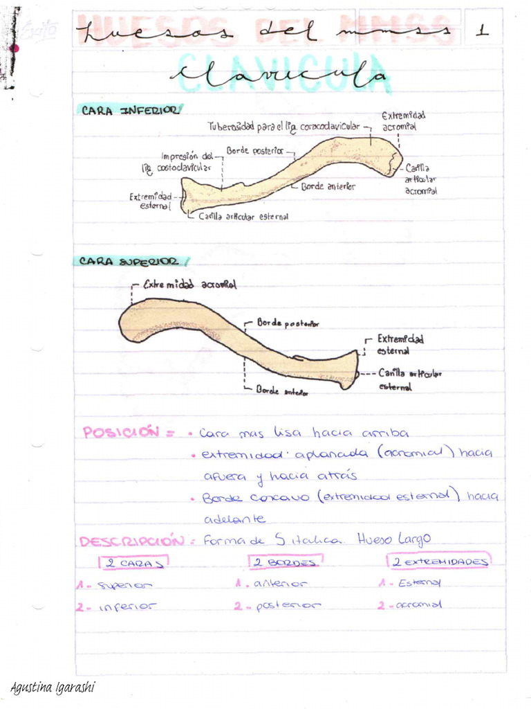 AnaTO Resumen MMSS | PDF