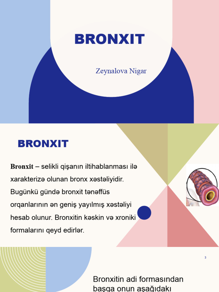 Bronx It | PDF
