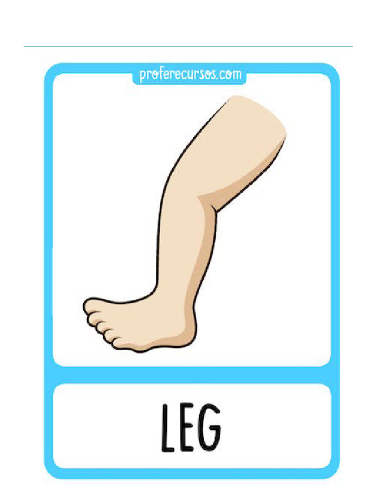 Flash Card Partes Del Cuerpo Ingles | PDF