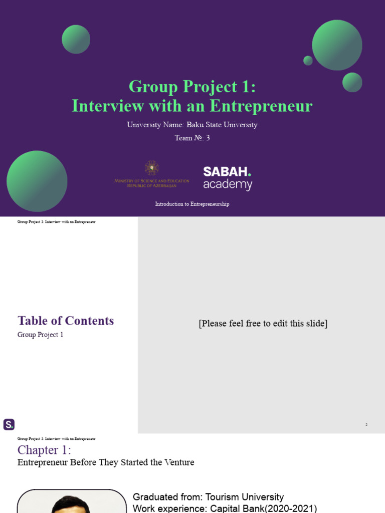 Group Project 1 - Template (For Teams) | PDF | Entrepreneurship | Business