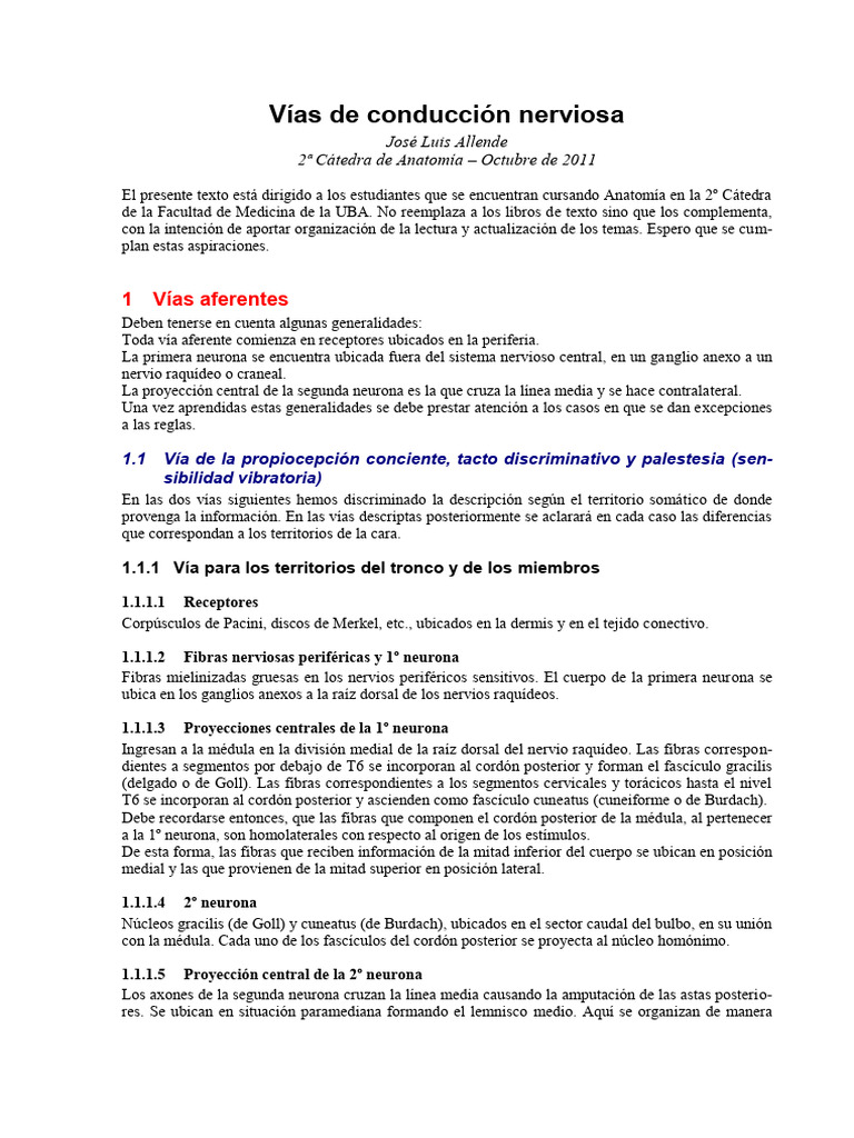 Neuro Resumen Tp#23 | PDF | Cerebelo | Médula espinal