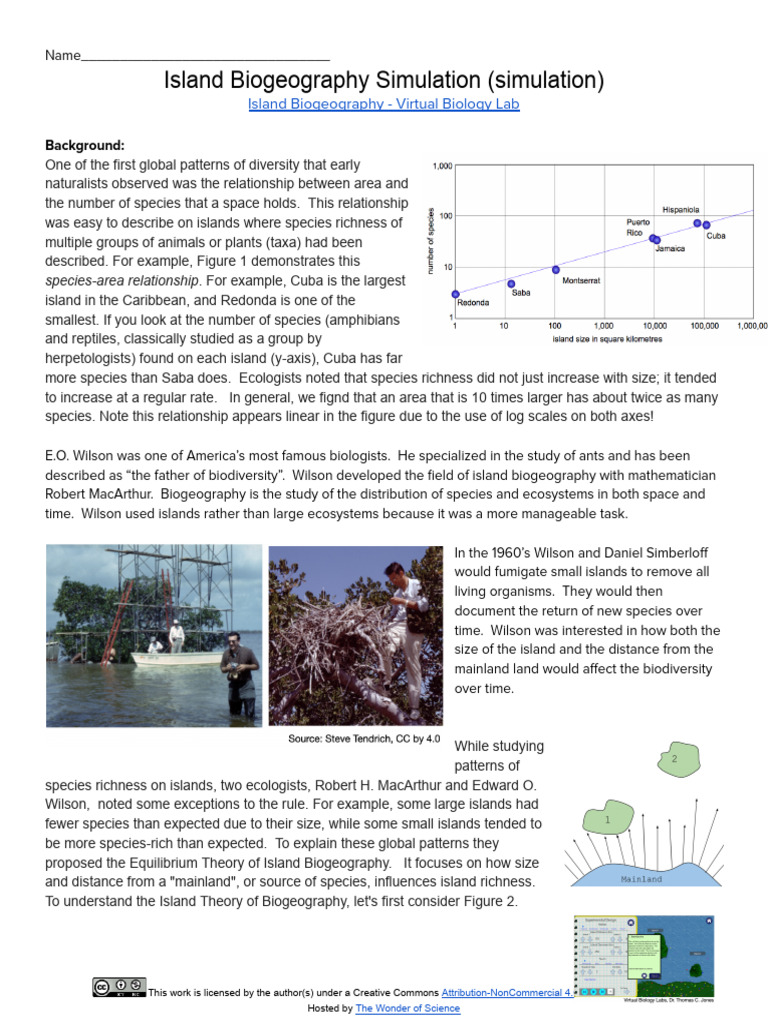 Layla Hollingsworth - The island biogeography simulator - 14405554 ...