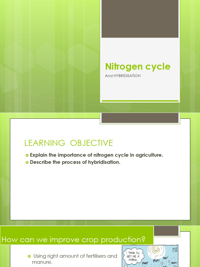 Science_Nitrogen cycle and Hybridisation_Notes | PDF | Earth Sciences ...
