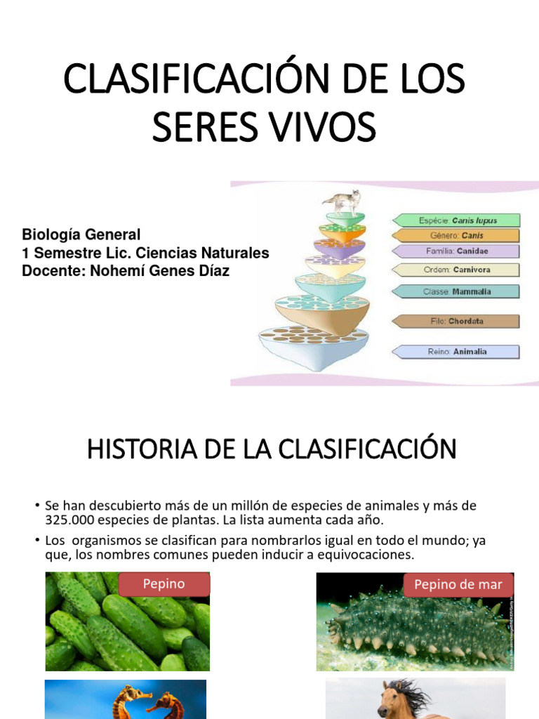 Clasificación de los Seres Vivos en Biología | PDF | Taxonomía ...